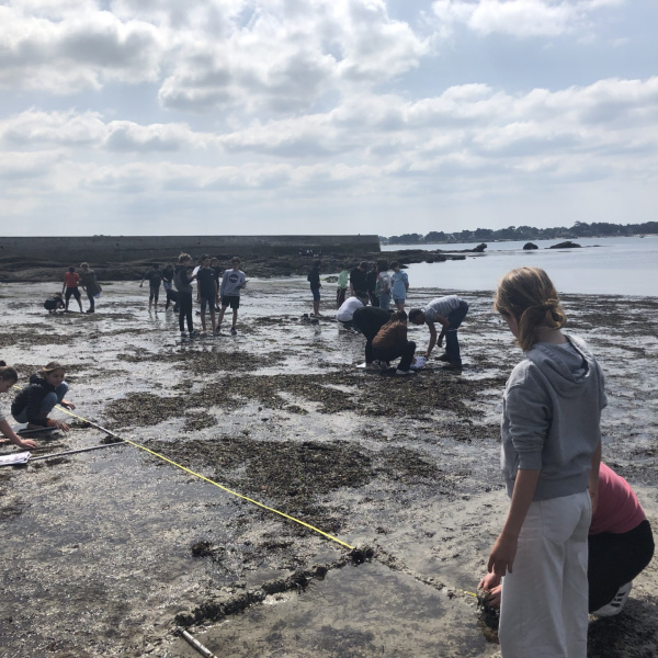 Sortie plage vivante et visite du Marinarium - Collège Penanroz à Pont-Aven
